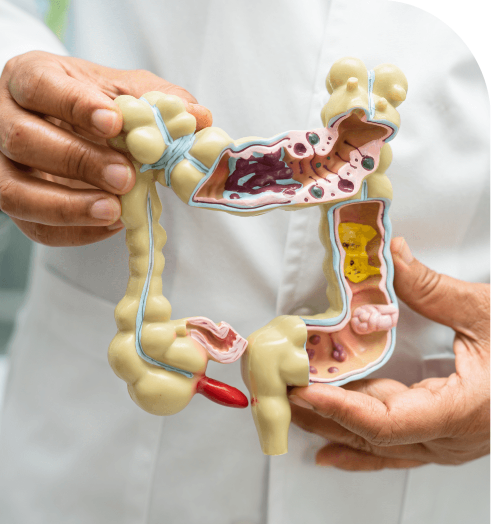 Digestive Health in Lewisville,TX | Gut Health Doctors